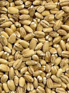 Wheat 101: Picking the Perfect Grain (kamut wheat, einkorn, etc ...