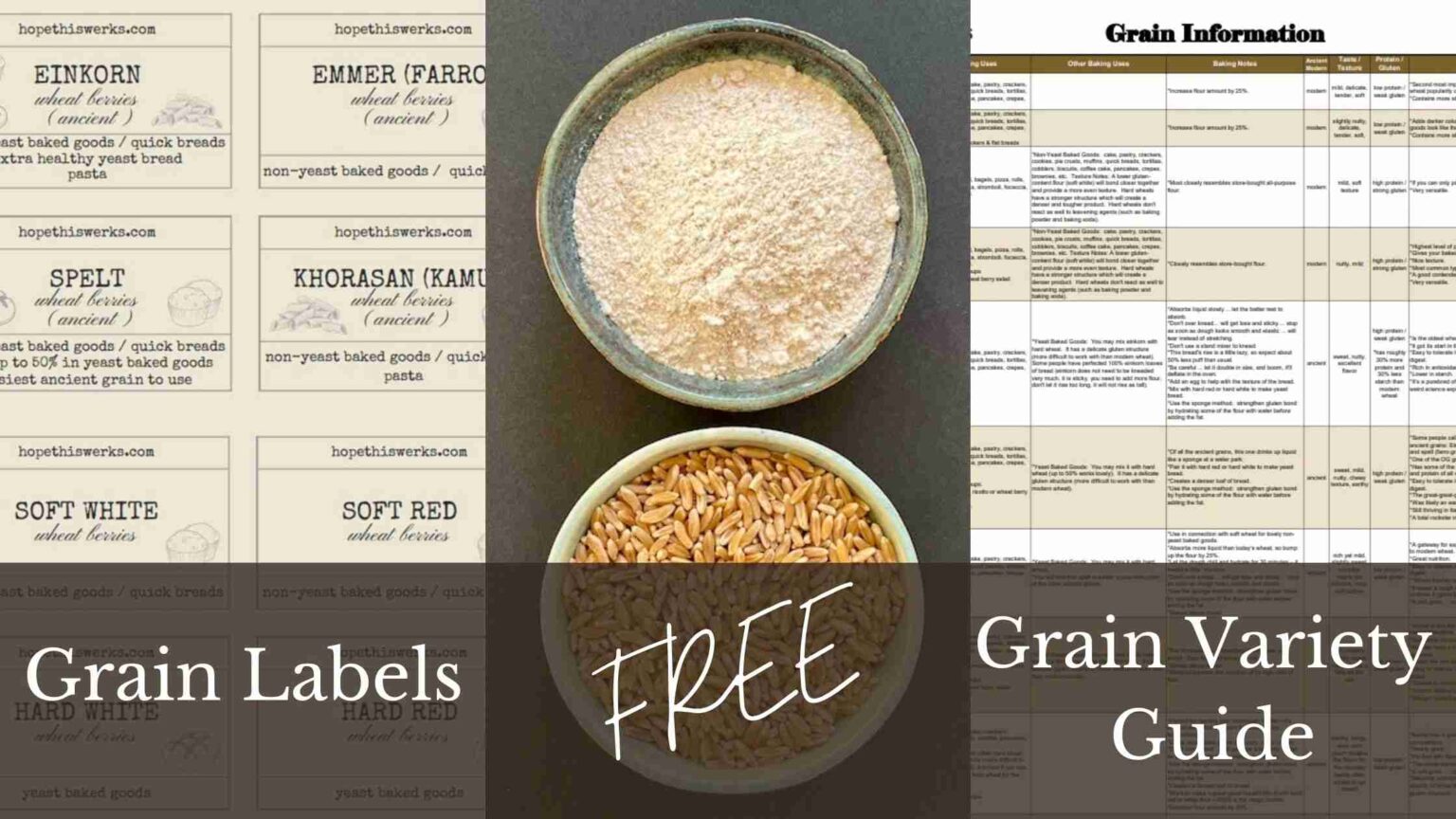 Wheat 101: Picking the Perfect Grain (kamut wheat, einkorn, etc ...