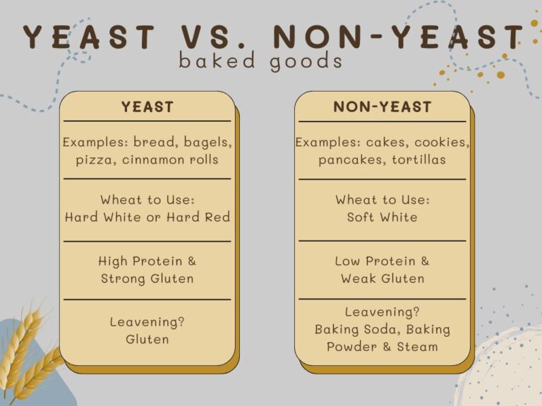 Wheat 101: Picking the Perfect Grain (kamut wheat, einkorn, etc ...