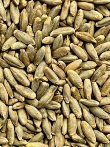 Wheat 101: Picking the Perfect Grain (kamut wheat, einkorn, etc ...