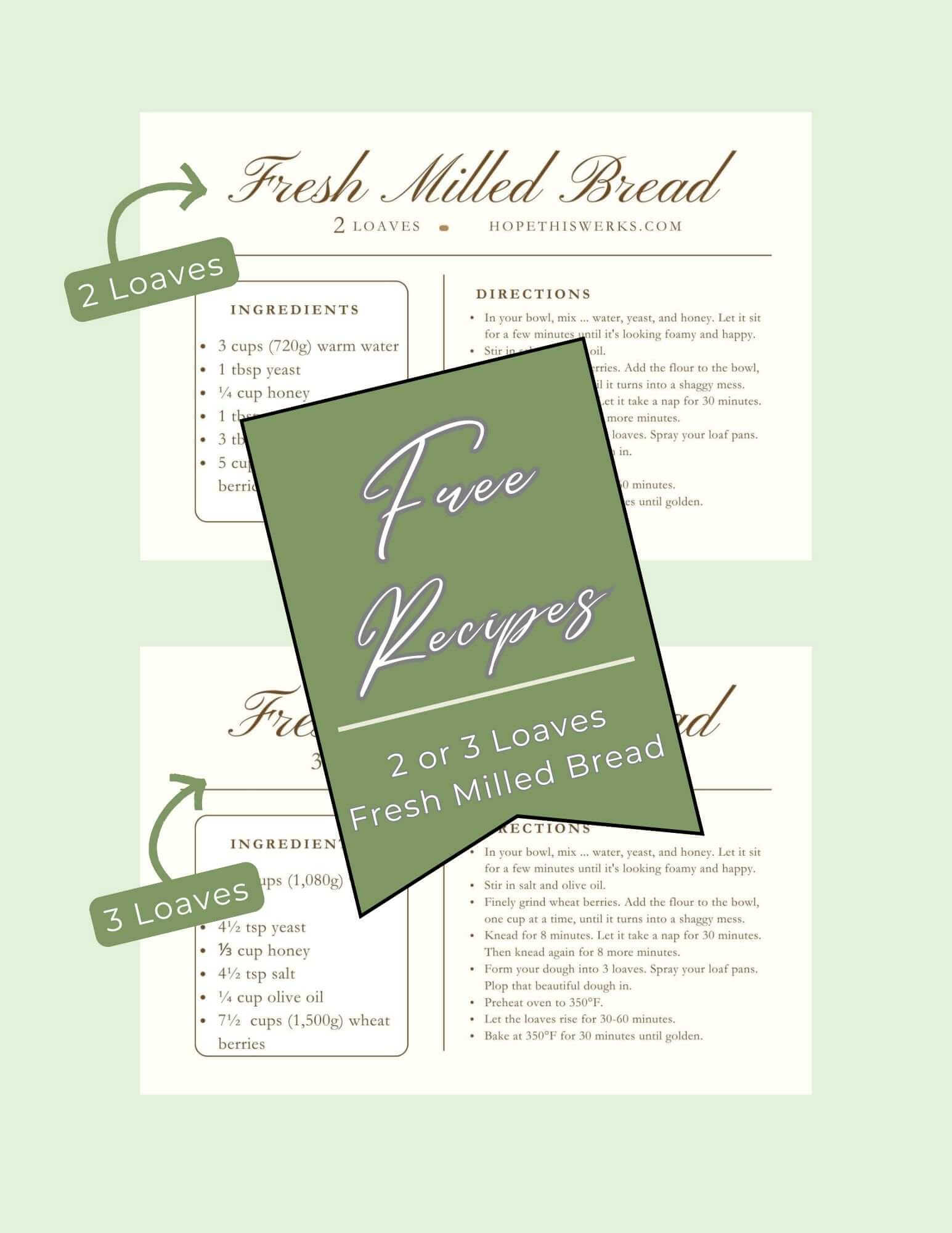The Best Beginner Fresh Milled Flour Bread Recipe - Hope This Werks
